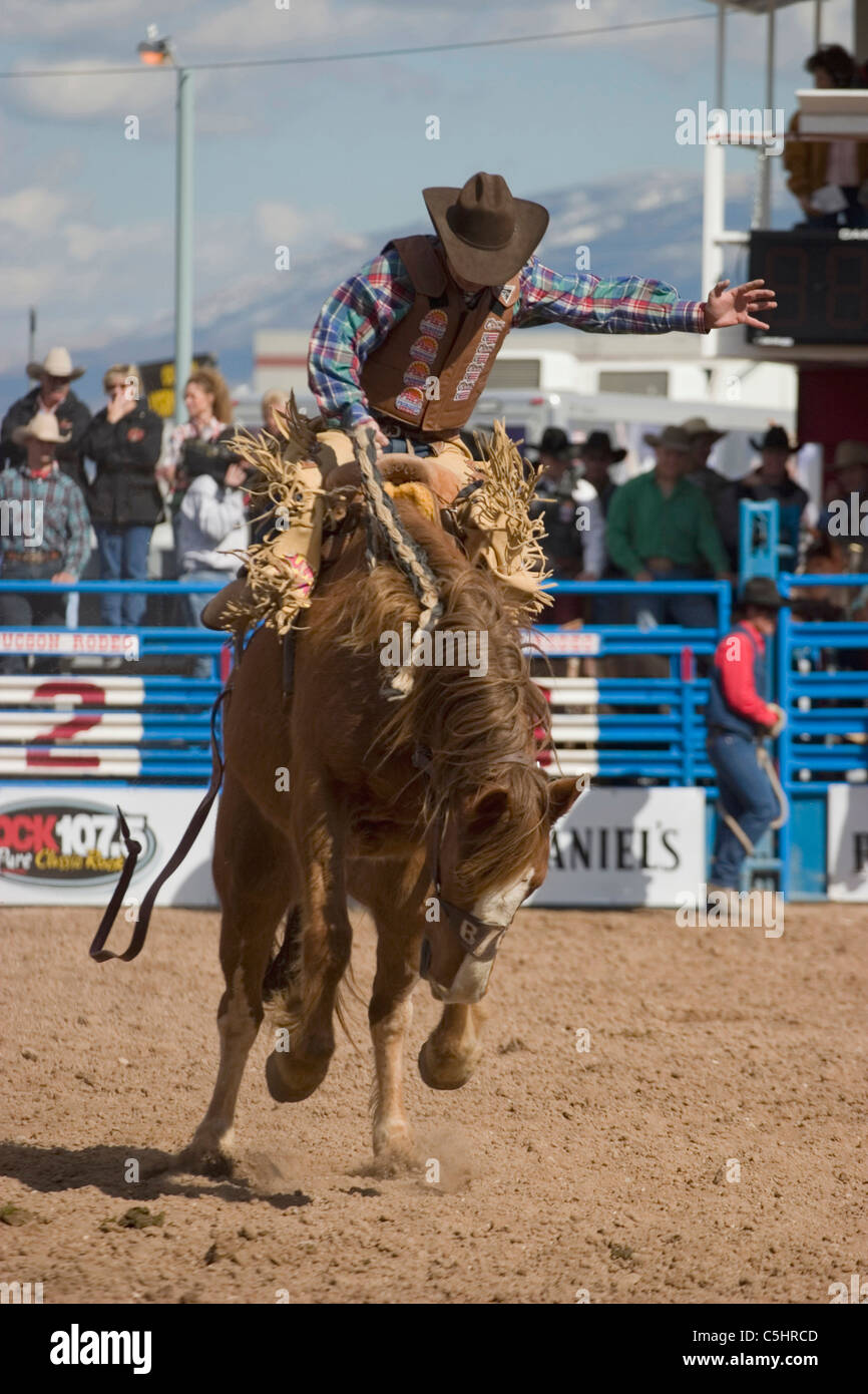 At the Tucson Rodeo riders in the competition in Tucson, Arizona...For ...