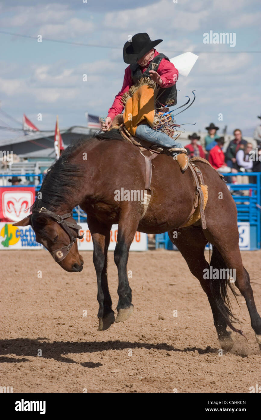 At the Tucson Rodeo riders in the competition in Tucson, Arizona...For ...