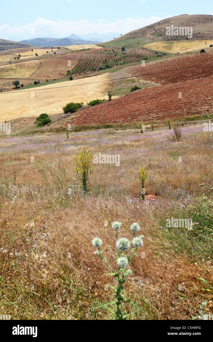 Turkey tarsus taurus mountain area hi-res stock photography and images ...