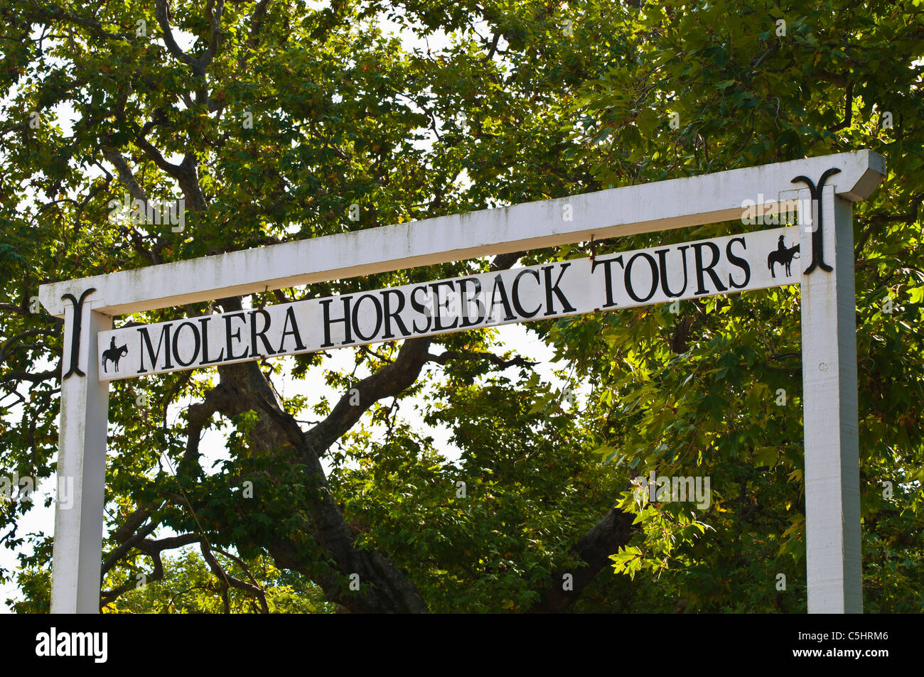 Molera horseback tours hi-res stock photography and images - Alamy