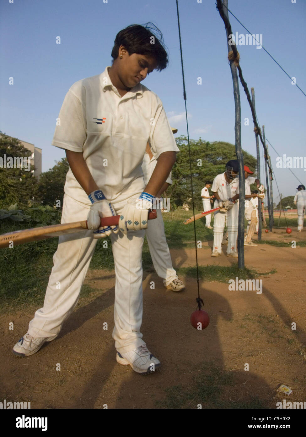 Cricket balls hi-res stock photography and images - Alamy