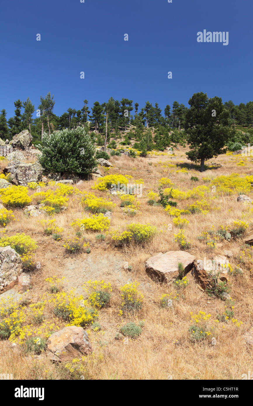 Turkey, Tarsus Taurus mountain area, Toros Ala Dagiar, Mountains, Toros ...
