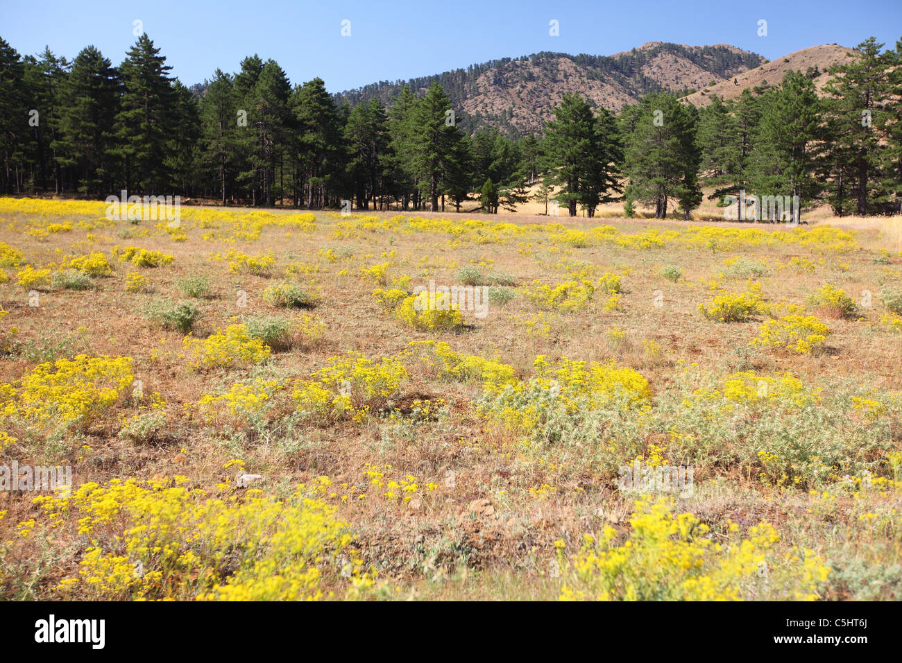 Turkey Tarsus Taurus Mountain Area High Resolution Stock Photography ...
