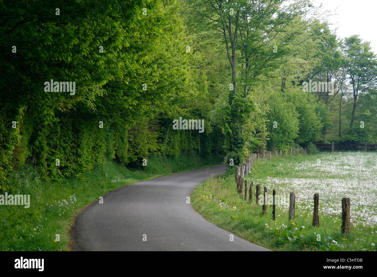 A small road in the countryside, in the spring (Normandy, France Stock ...