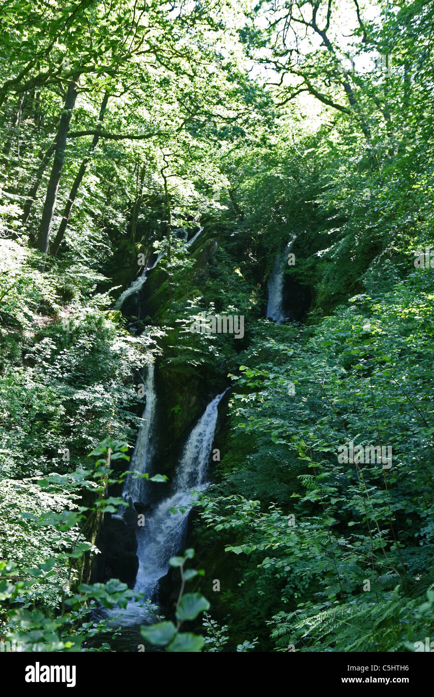 Waterfalls in Stock Ghyll park Ambleside Cumbria England Stock Photo ...