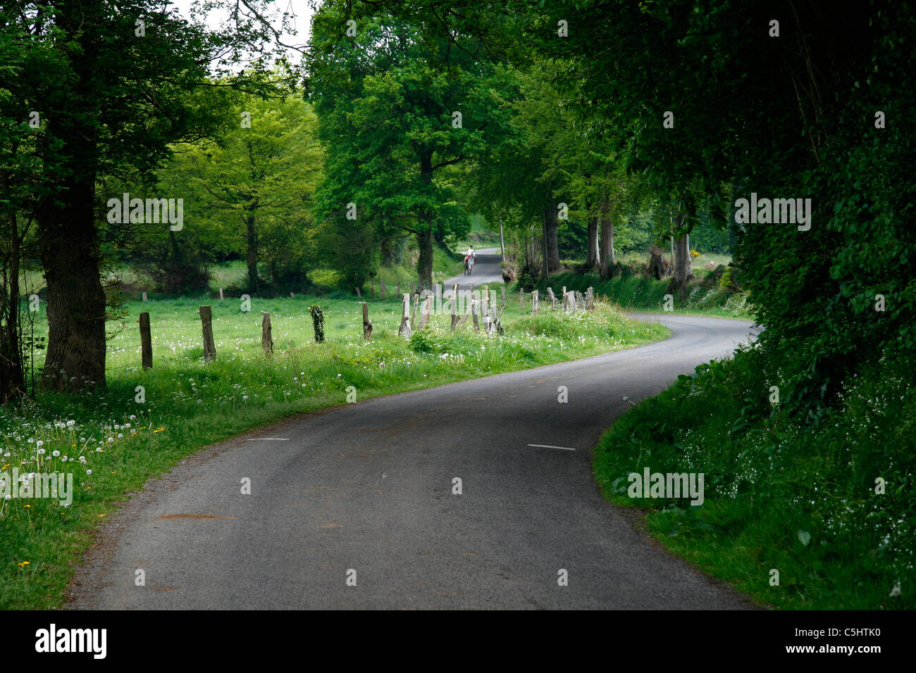 A small road in the countryside, in the spring (Normandy, France Stock ...