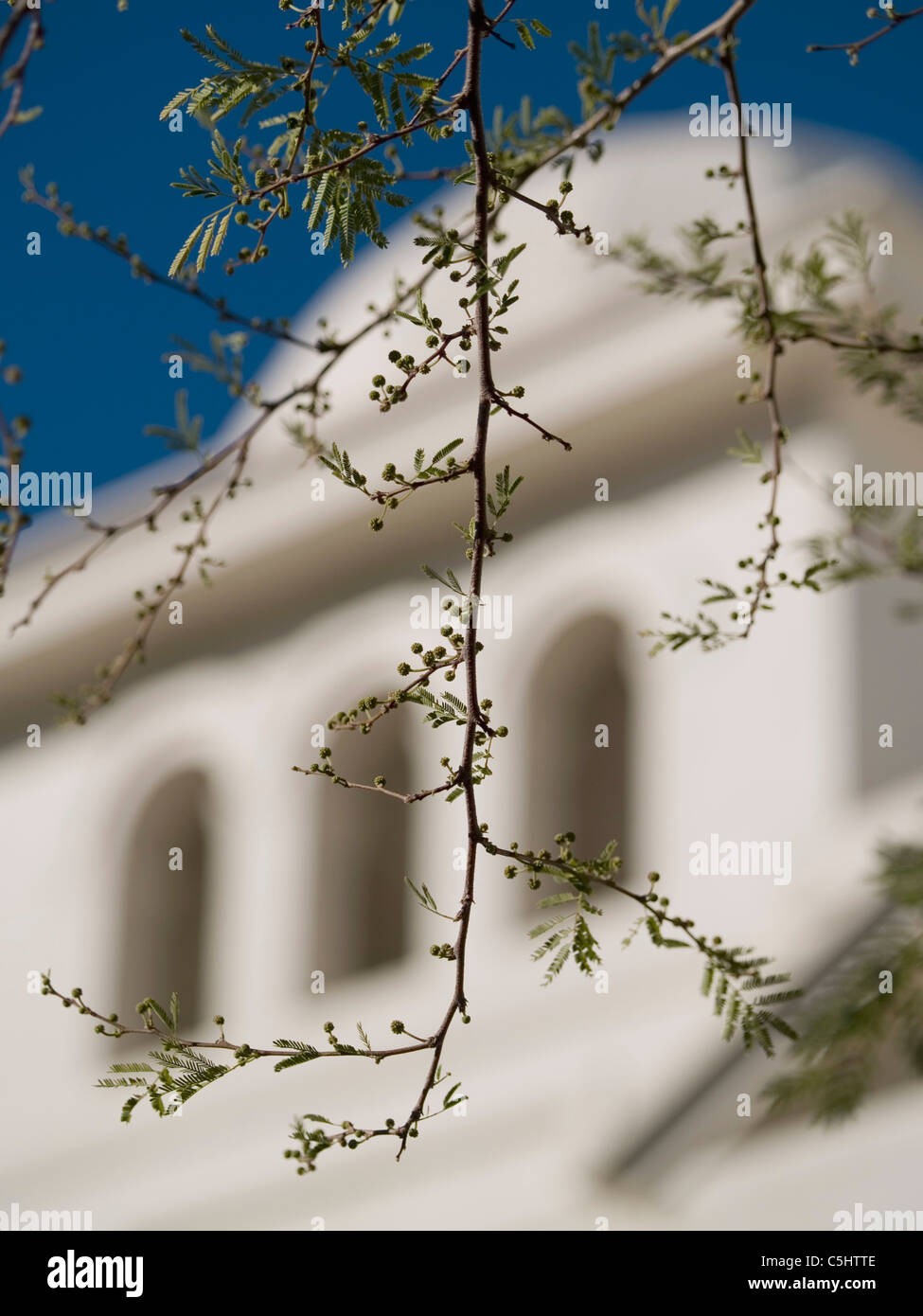Exterior views of a historic Jewish Synagaogue in Tucson, Arizona Stock ...