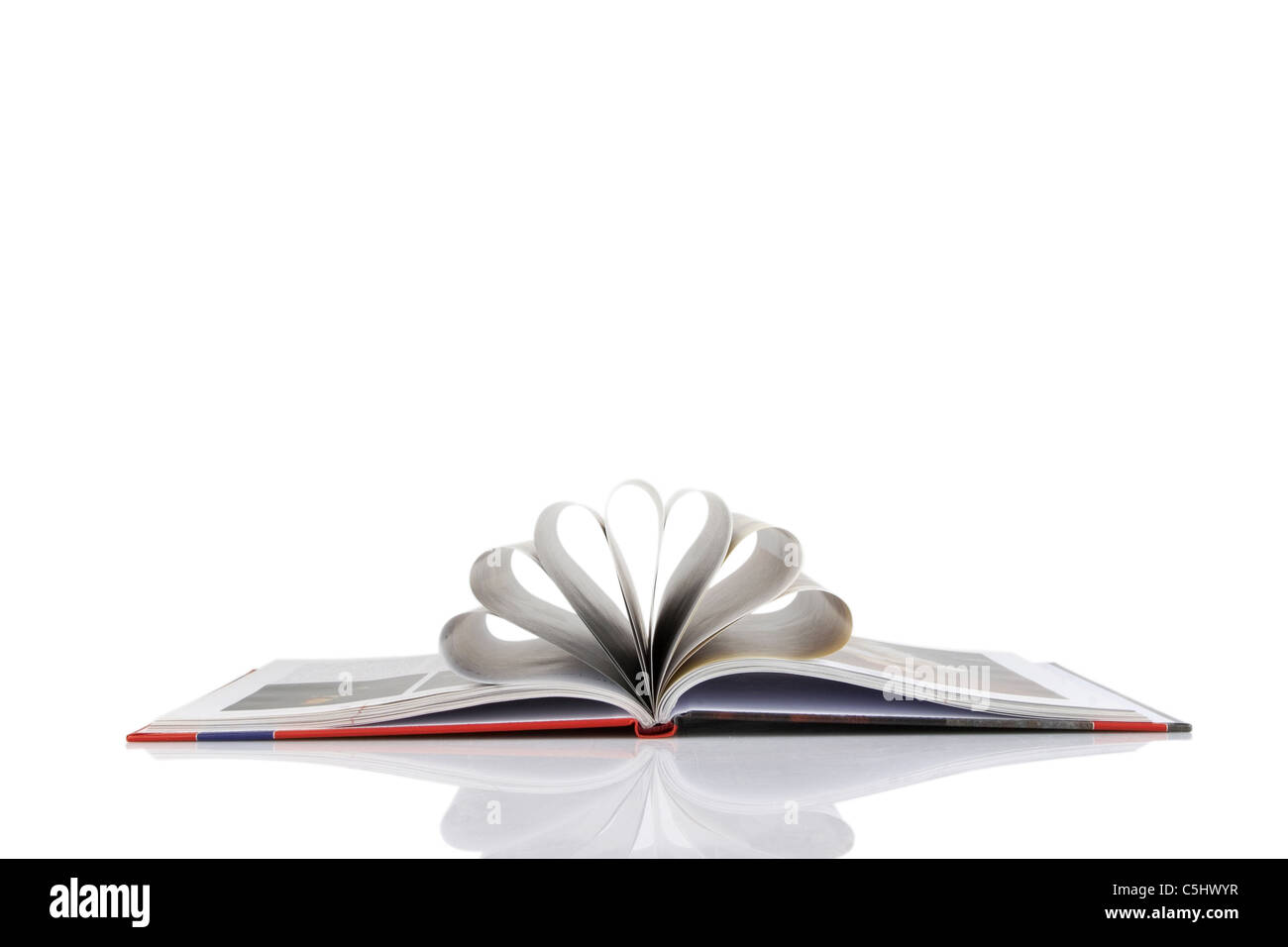 book pages folded into a flower shape on white background Stock Photo ...
