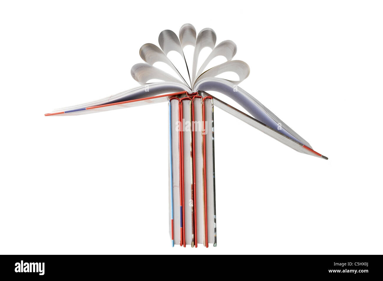 book pages folded into a flower shape on white background Stock Photo ...