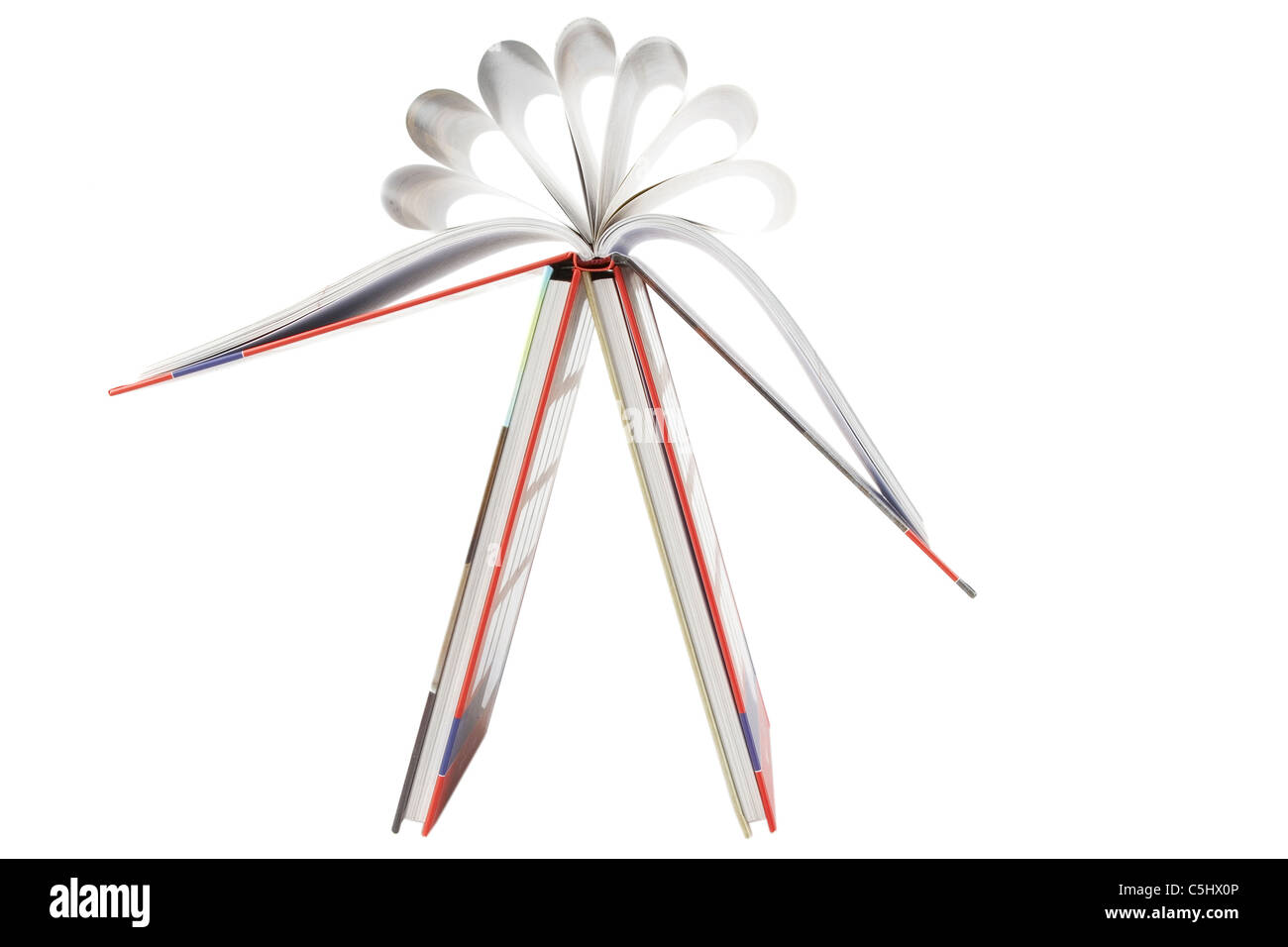 Magazine flower Cut Out Stock Images & Pictures - Alamy