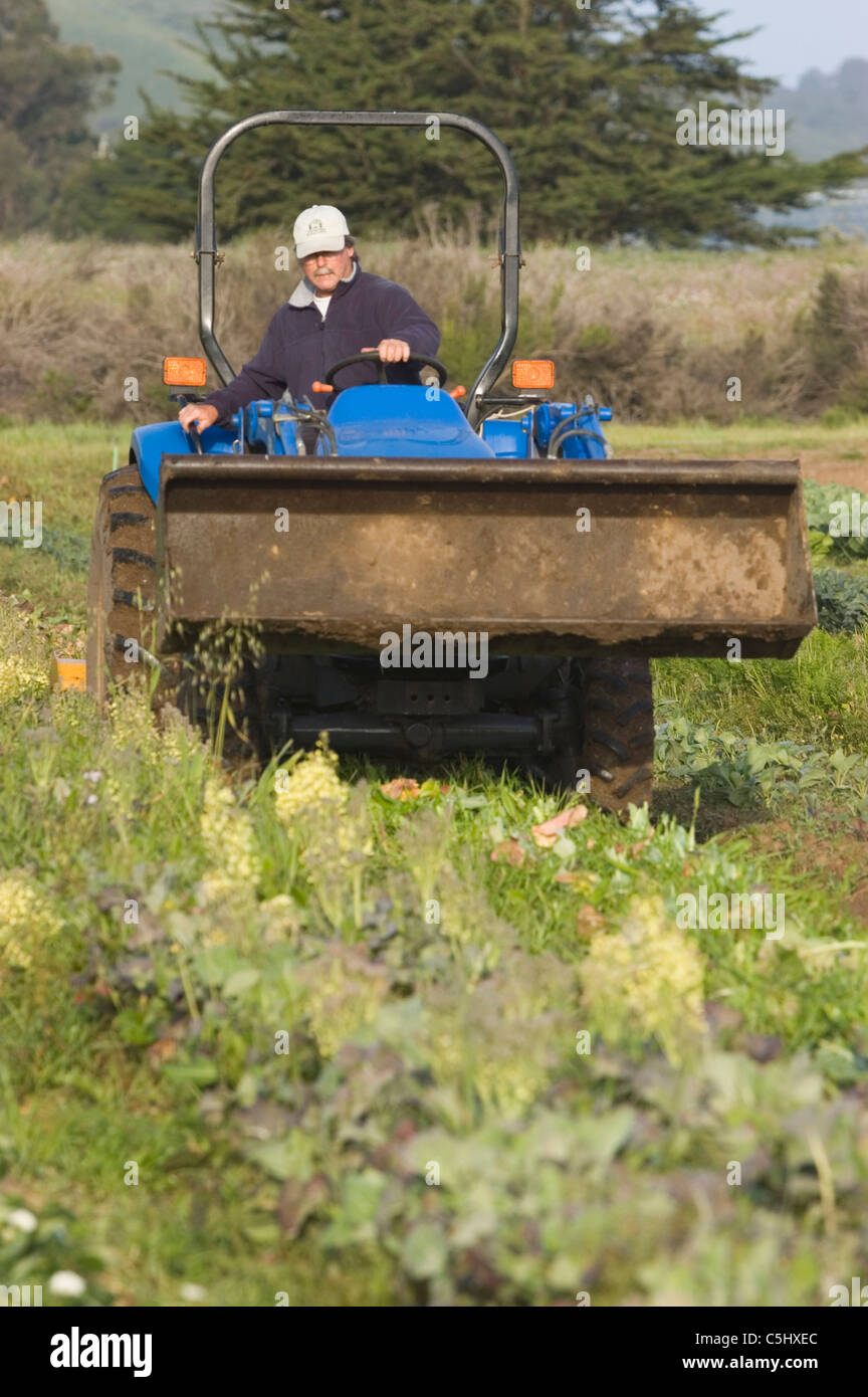 Small scale farmer at work in Los Osos, California Stock Photo - Alamy
