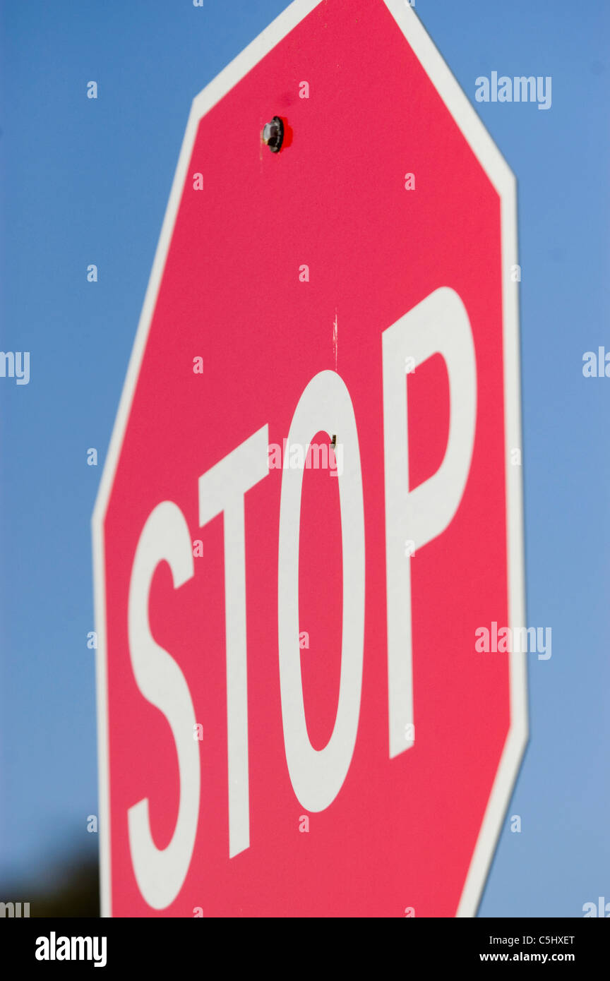 Stop sign at intersection in Morro Bay, California Stock Photo - Alamy