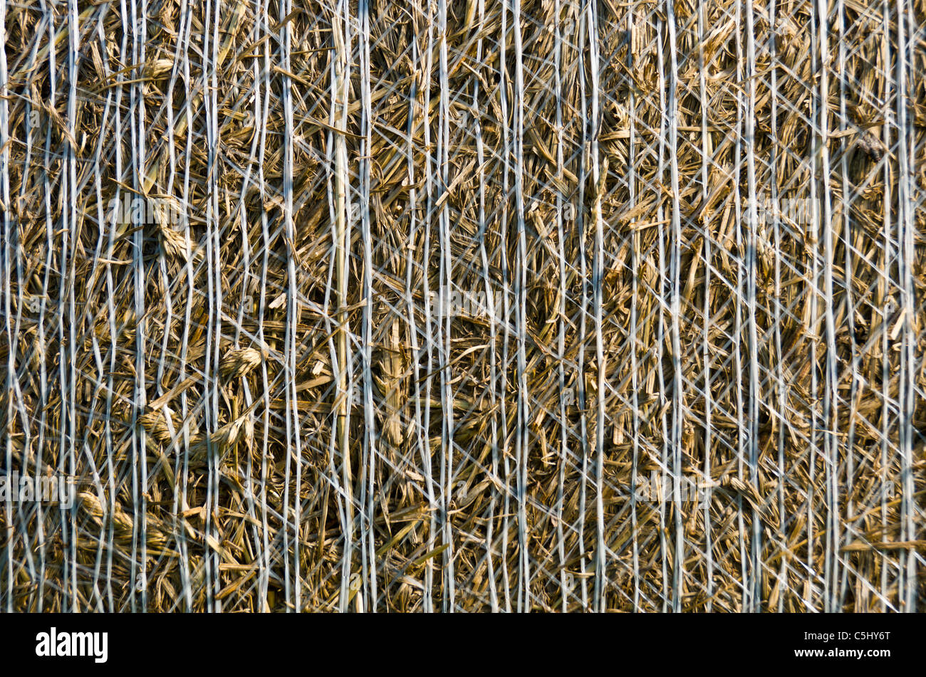 Bail hay straw agriculture hi-res stock photography and images - Alamy
