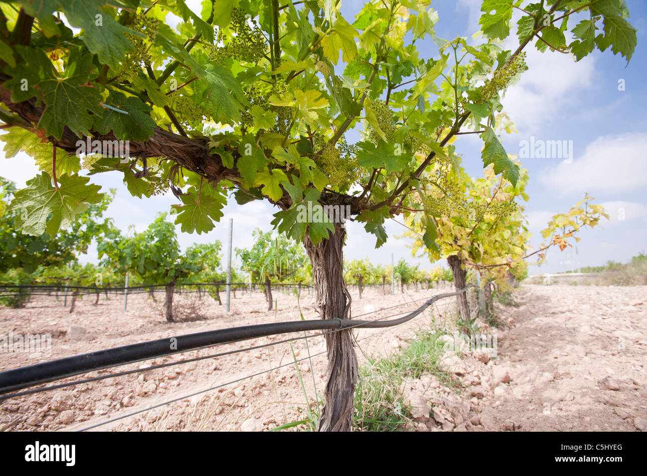 Irrigationpipe hi-res stock photography and images - Alamy