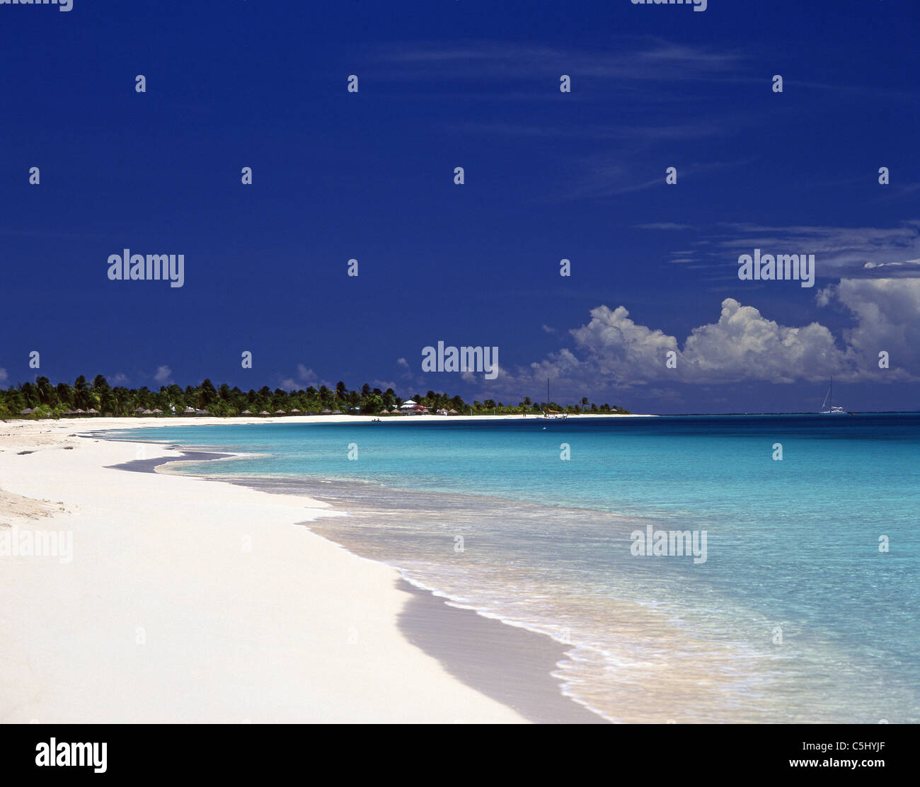 Tropical beach, Barbuda, Antigua and Barbuda, Lesser Antilles ...