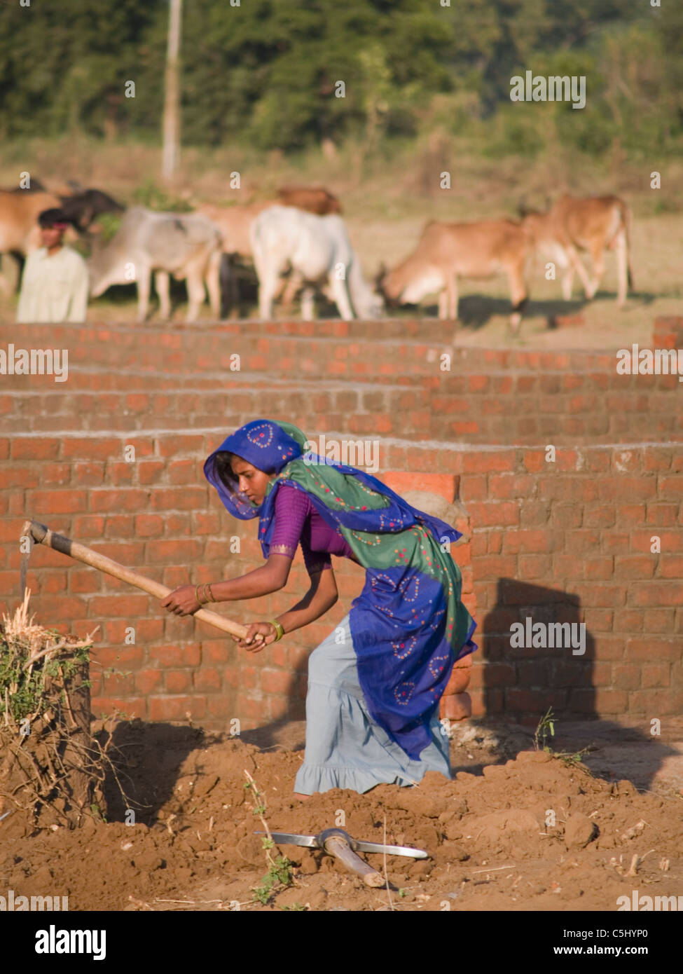 Rural youth working south india hi-res stock photography and images - Alamy