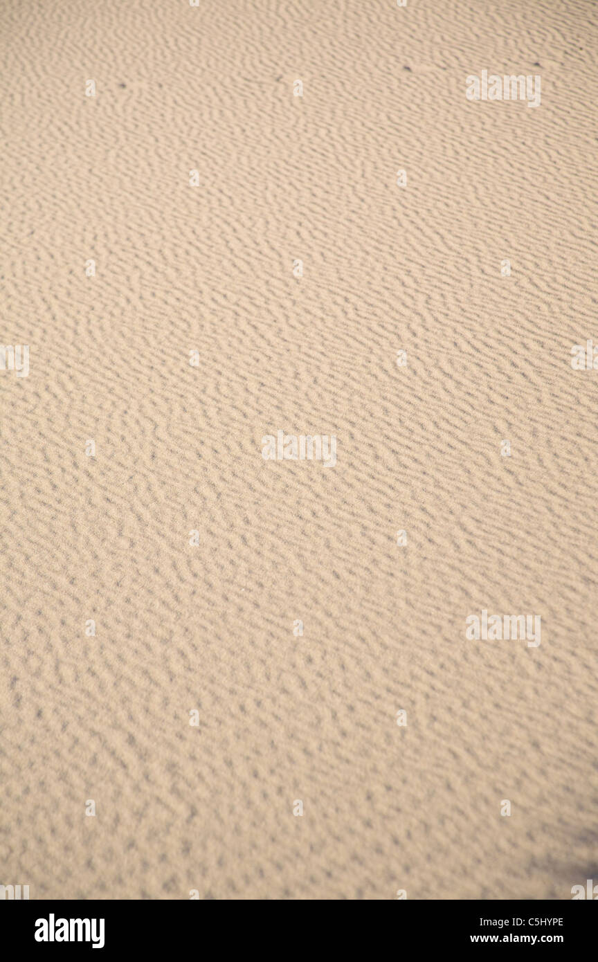 Valdevaqueros dune beach hi-res stock photography and images - Alamy