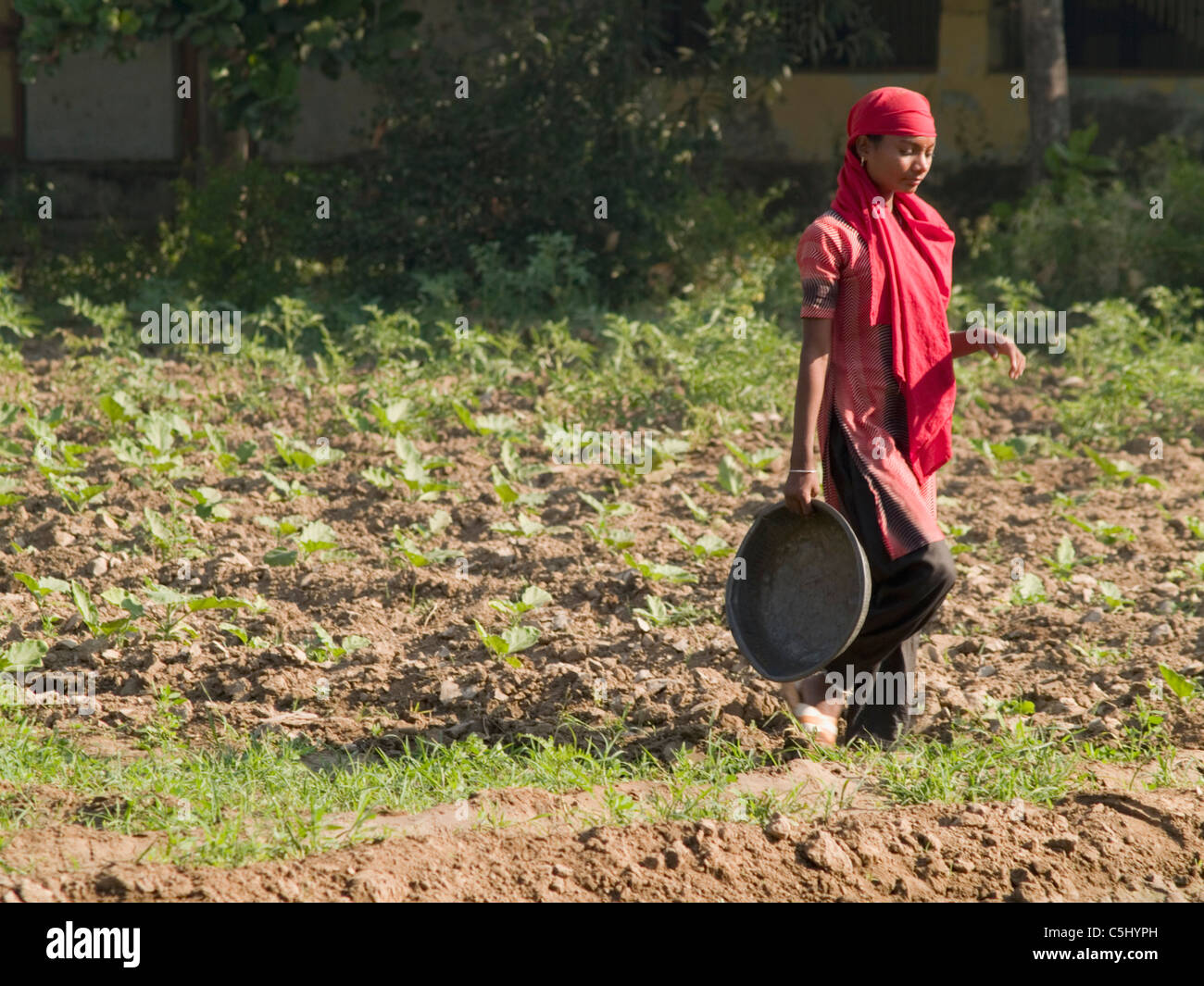 Rural life in india hi-res stock photography and images - Alamy