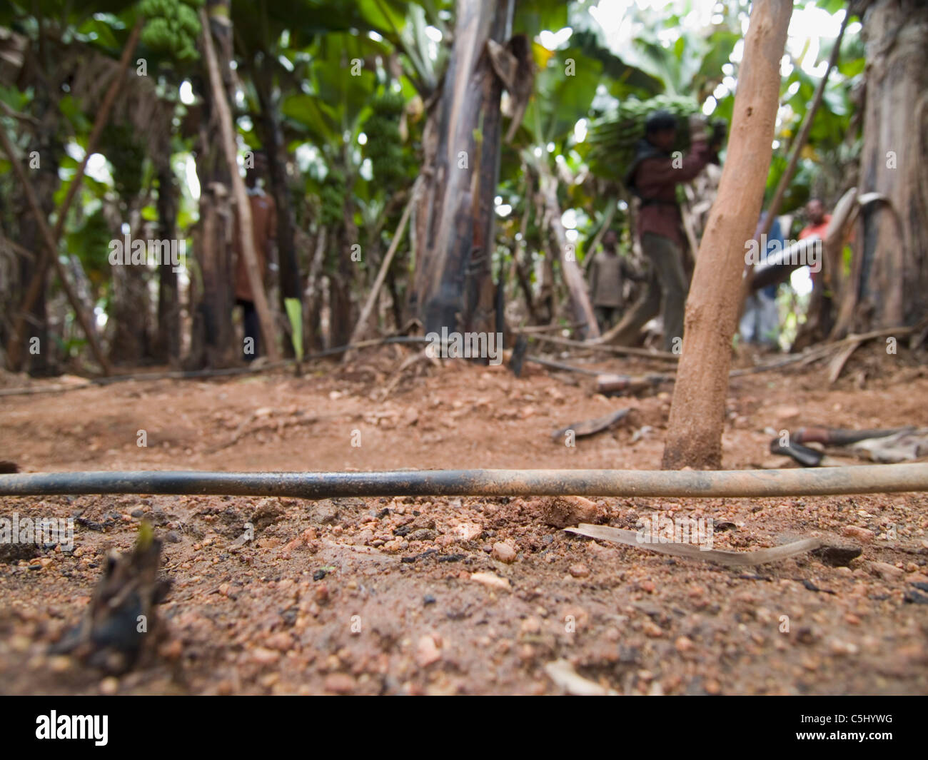 Tube wells india hi-res stock photography and images - Alamy