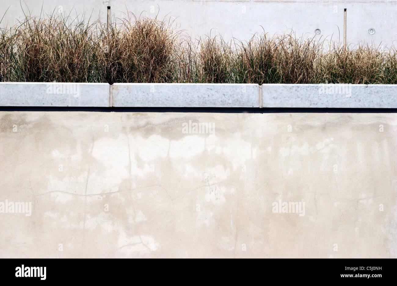 Concrete wall with weeds hi-res stock photography and images - Alamy