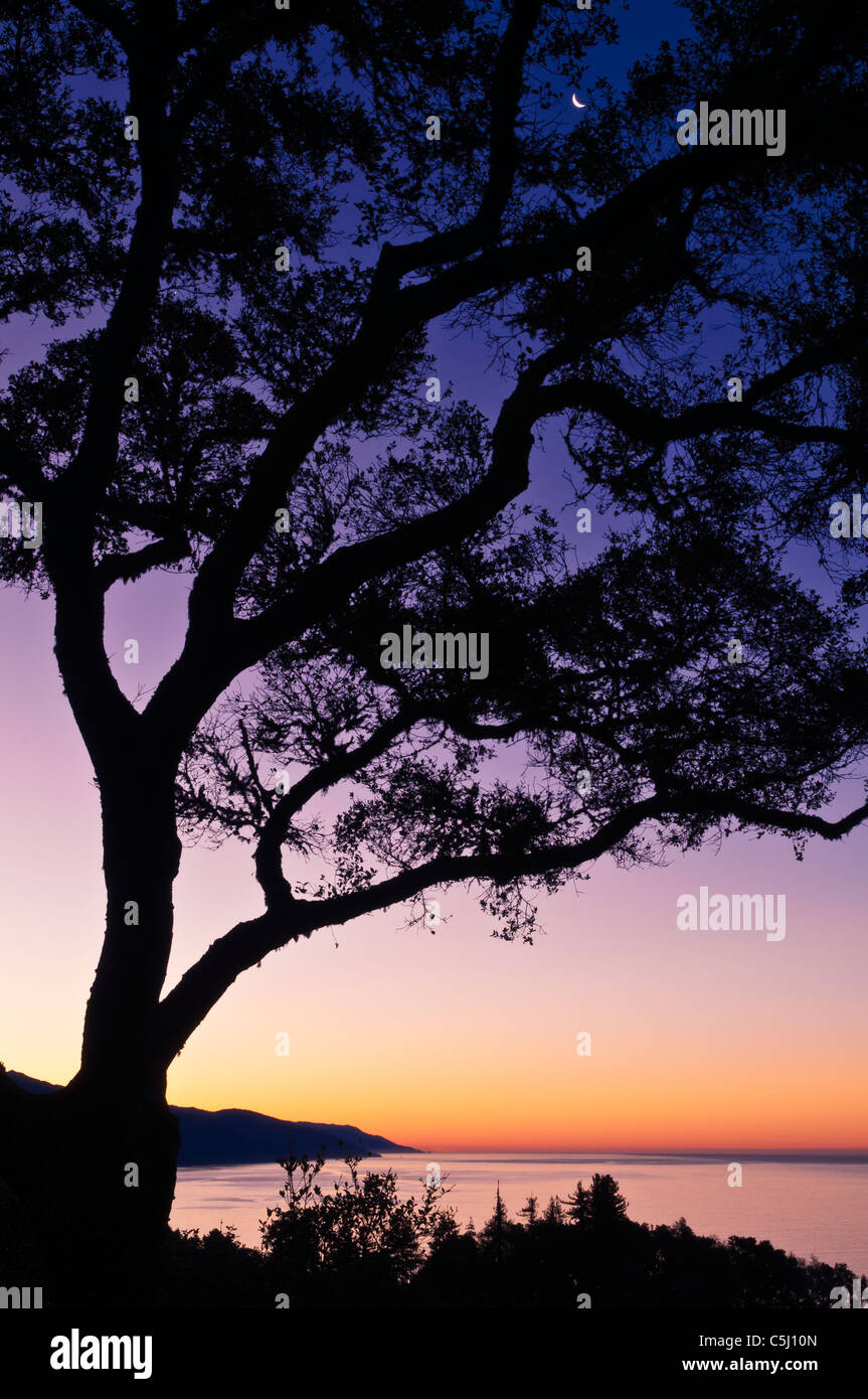 Crescent moon and dawn light over the Big Sur coast, California Stock ...