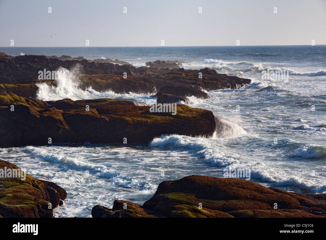 Evening surf pounds the basalt shoreline of Oregon’s Smelt Sands State ...