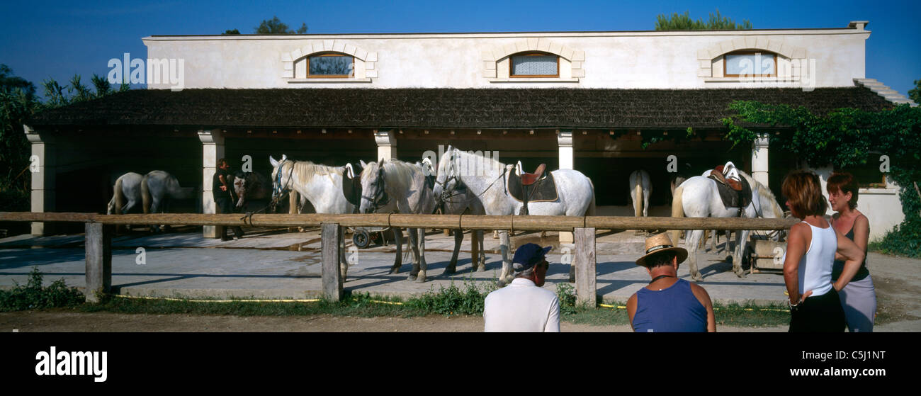 Camargue Provence France Horse Stables Stock Photo - Alamy