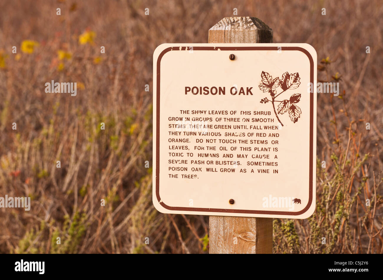 Poison oak warning on the Cypress Grove Trail, Point Lobos State ...