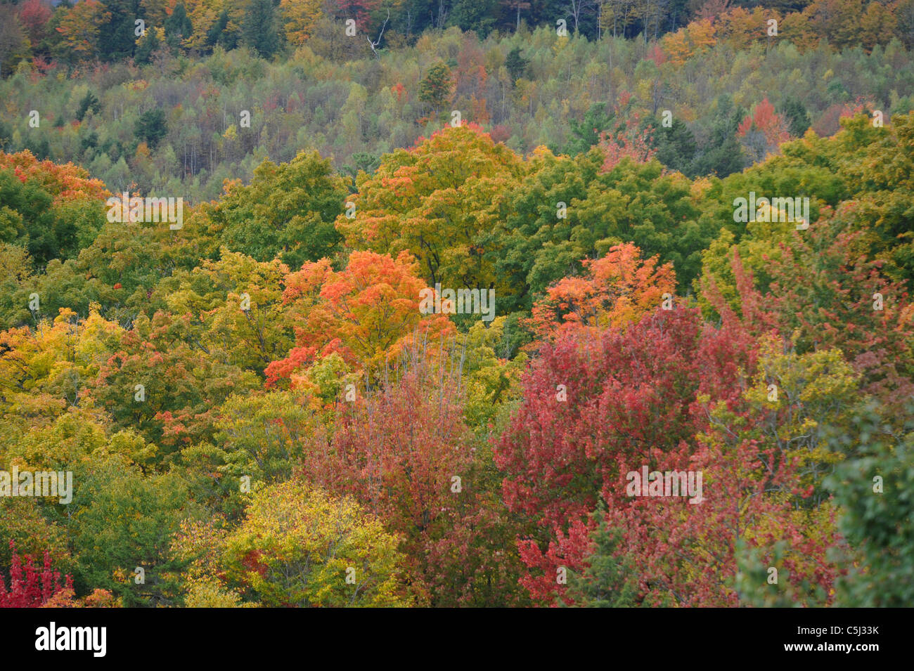 colorful fall hillside Stock Photo - Alamy