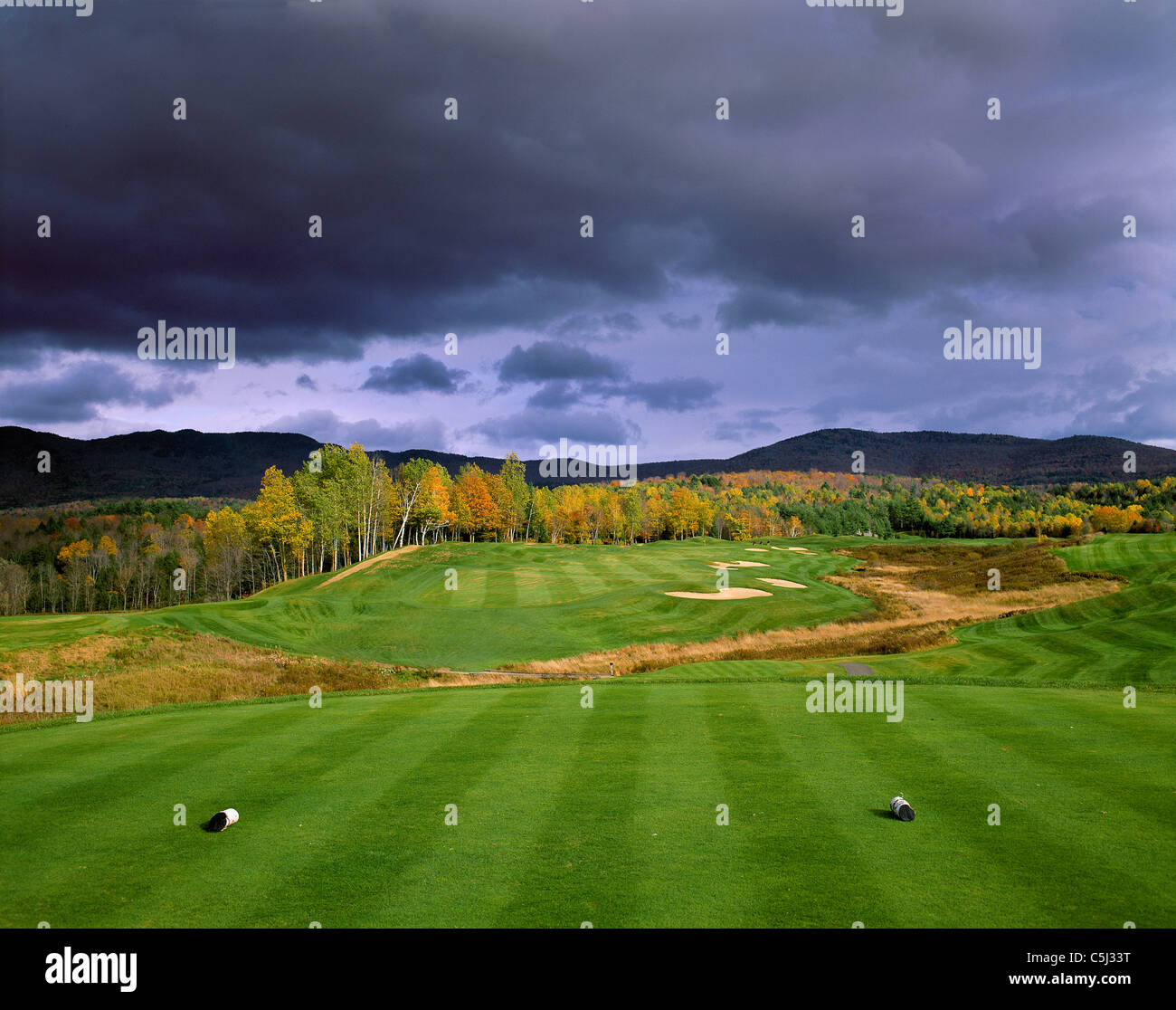 tee off at golf corse Stock Photo - Alamy