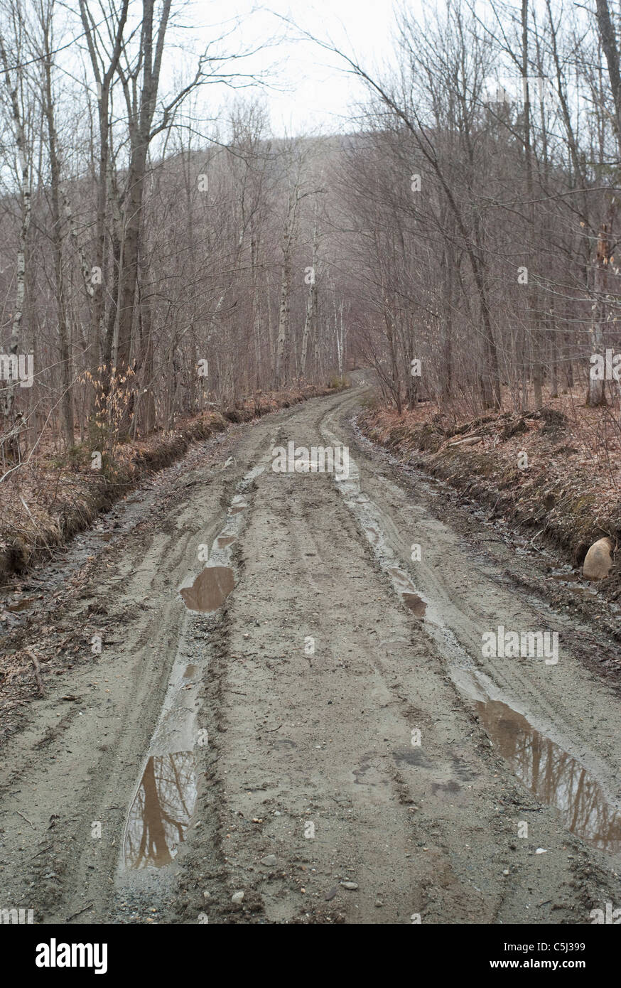 muddy back road Stock Photo - Alamy