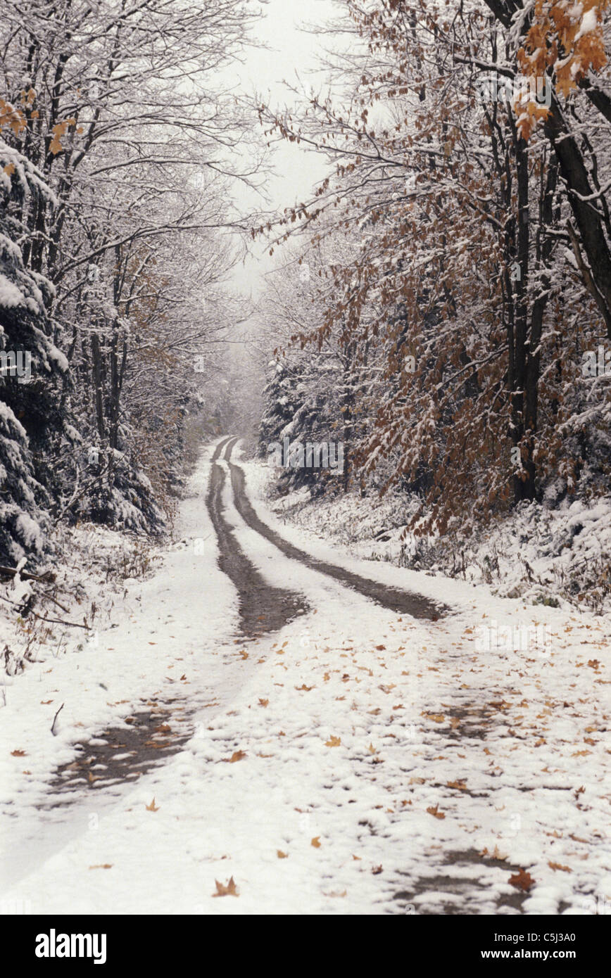 a snowy backroad Stock Photo - Alamy