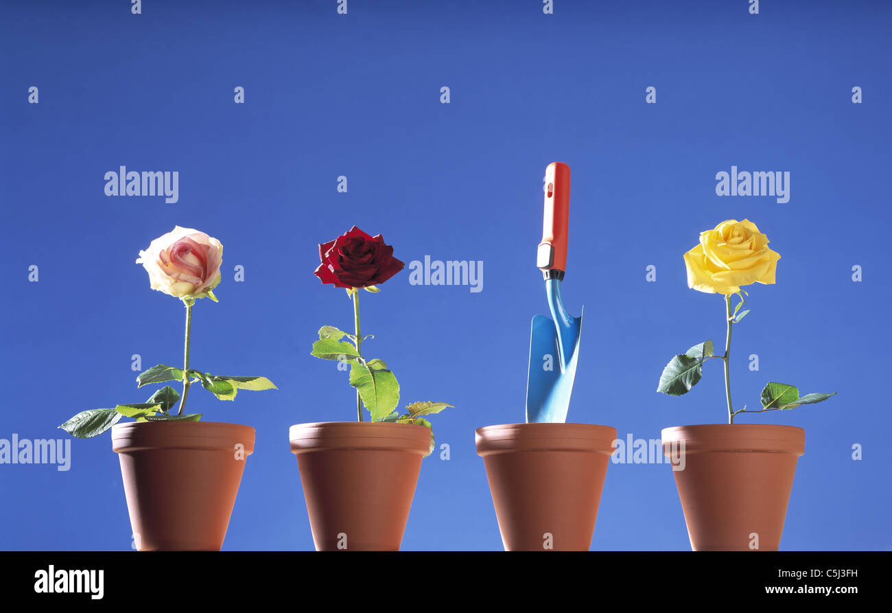 Group of three pots in a garden hi-res stock photography and images - Alamy