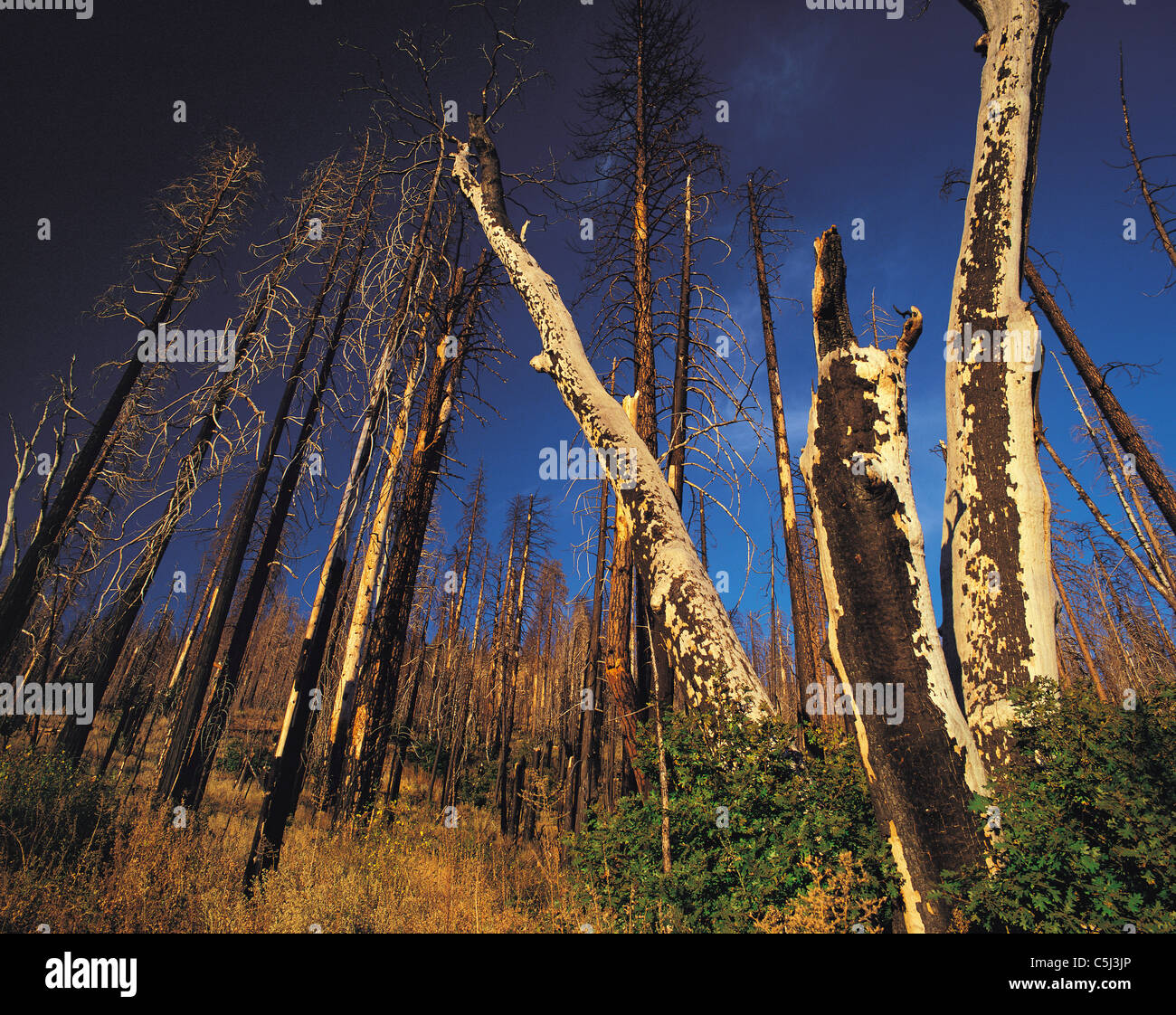 Fire damage hi-res stock photography and images - Alamy