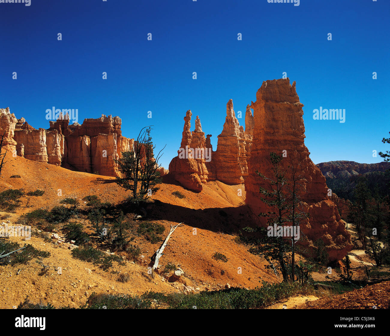 Highly-eroded "tuff" (soft volcanic spoil) pinnacles in Bryce Canyon ...