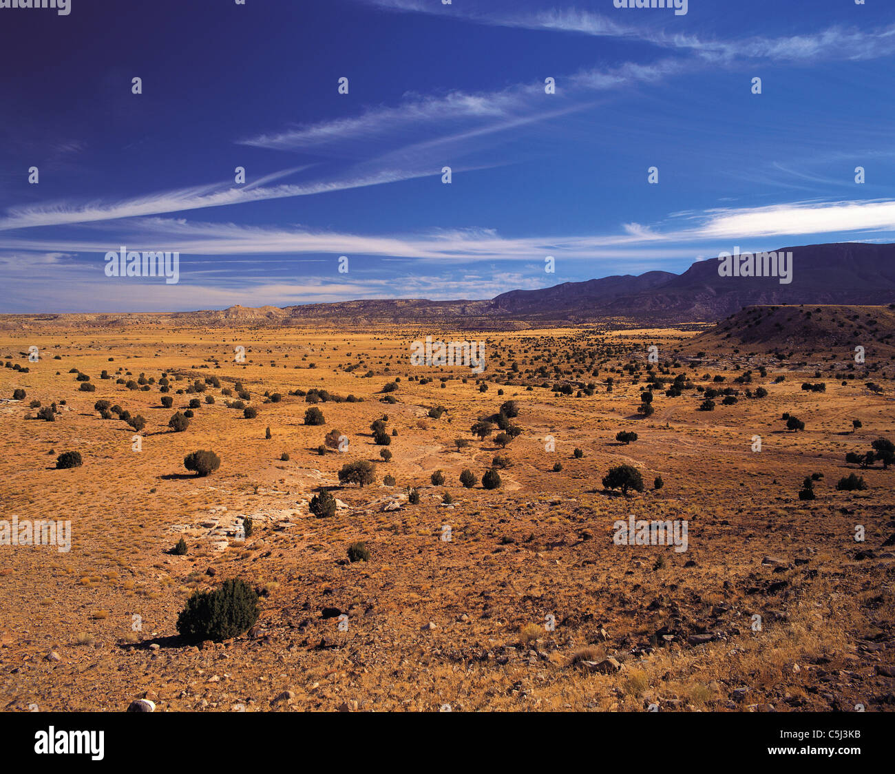 Prairie / desert near "Four Corners" (the junction of Utah, Arizona ...