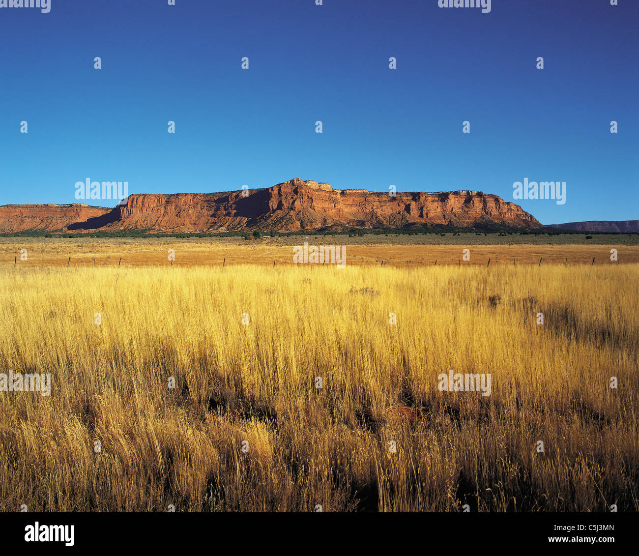 Distant sandstone butte seen across yellowing autumn grasses near ...