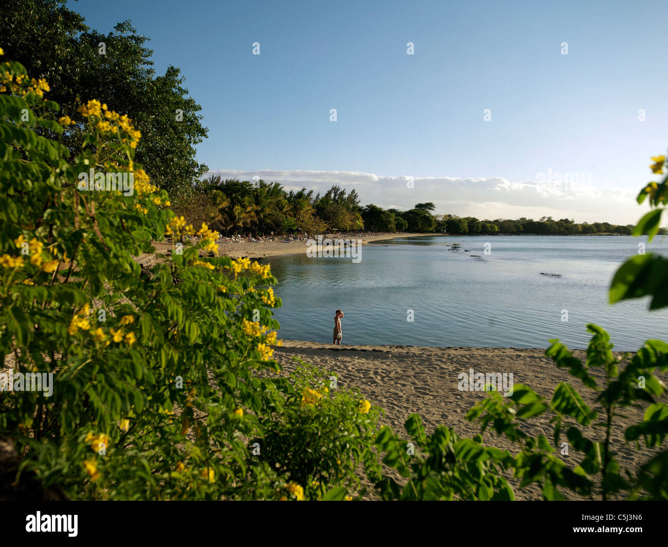Balaclava mauritius hi-res stock photography and images - Alamy