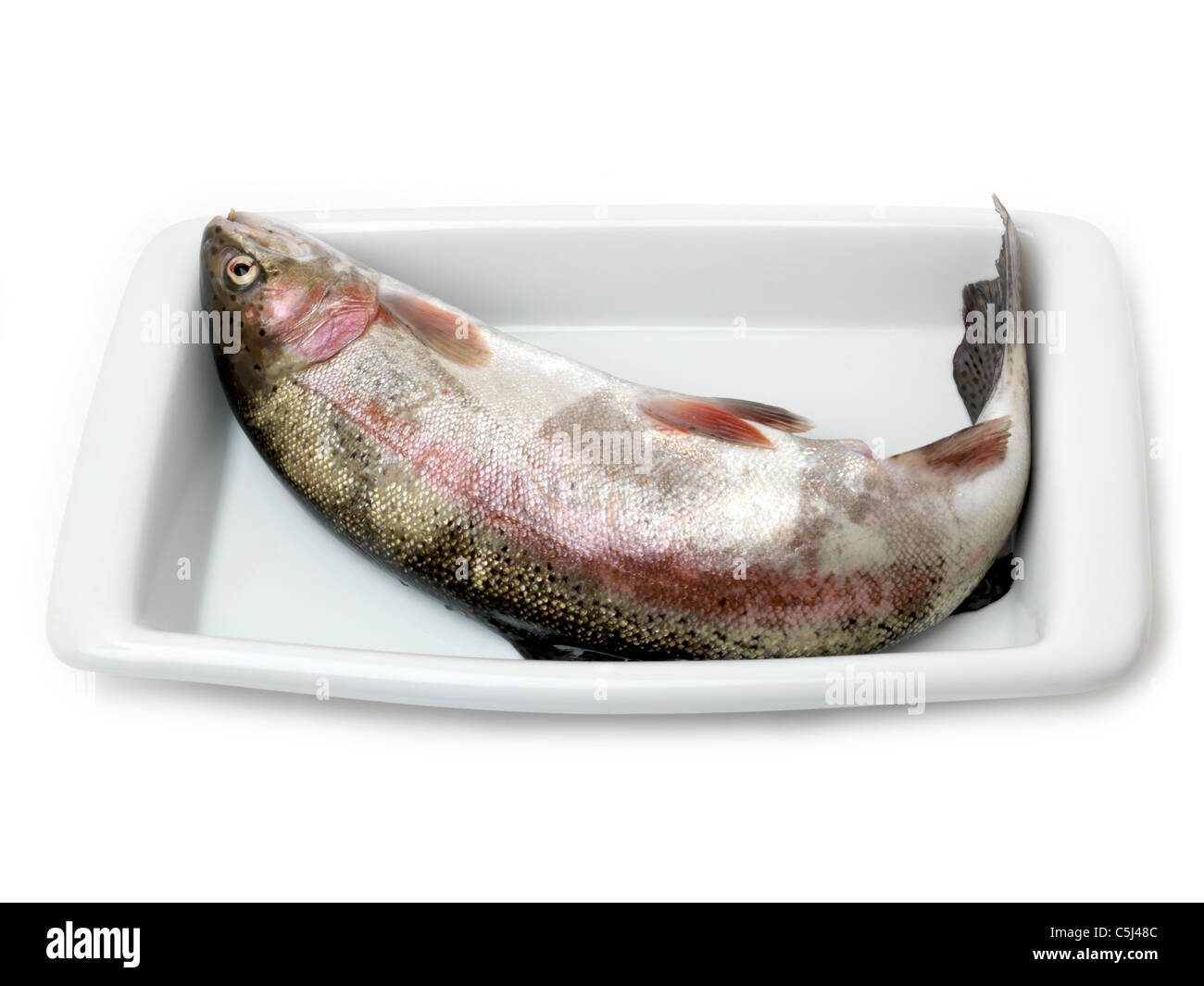 Colourful Trout In White Dish Stock Photo - Alamy