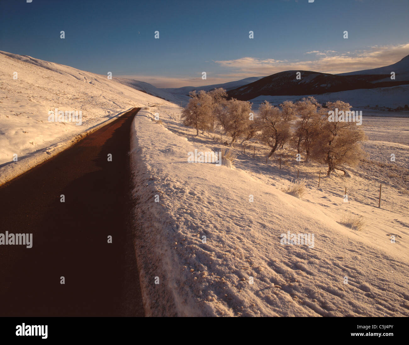 Lonely road in snow-covered winter landscape with trees and distant ...