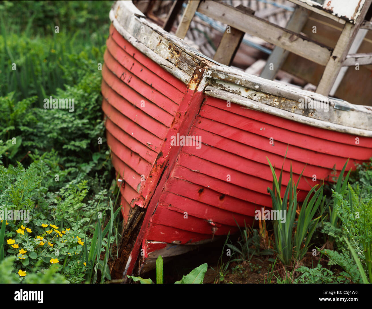 Wrecked red boat beached among deep greenery at Ardvasar, Isle of Skye ...