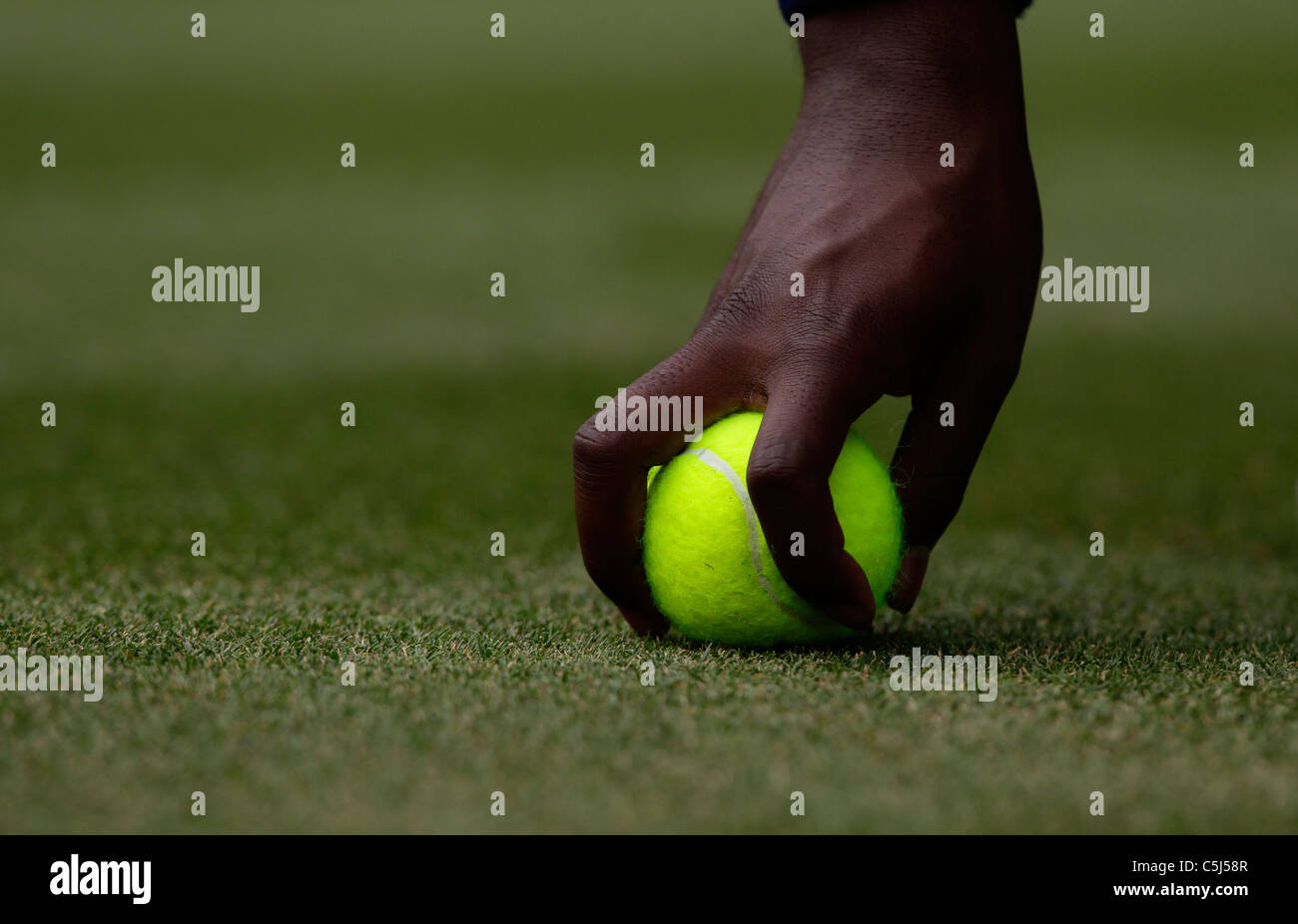 Hand of a ballboy holding a ball at the Wimbledon Championships Stock ...