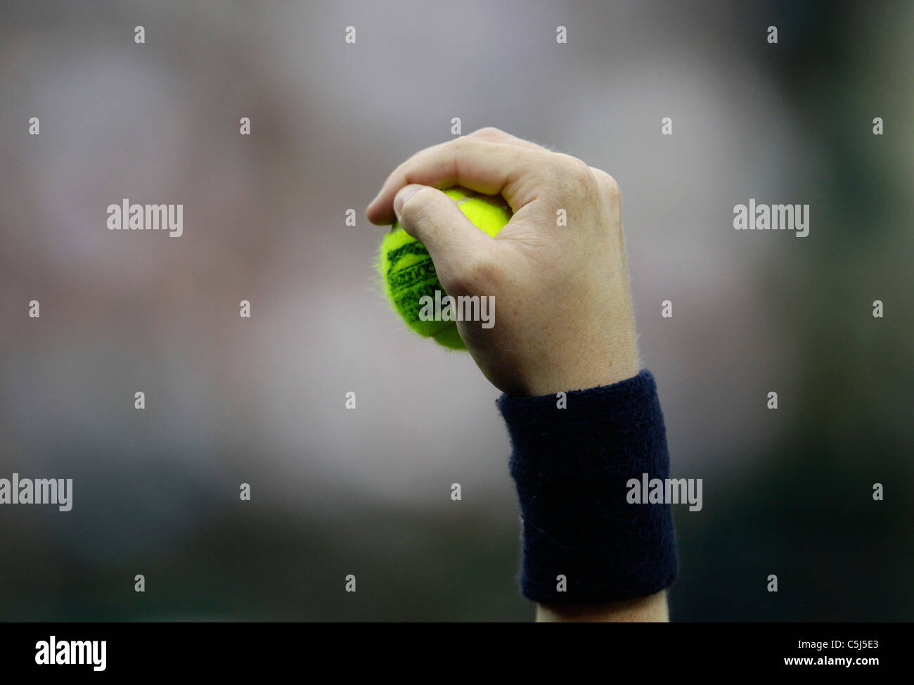 Hand of a ballboy holding a ball at the Wimbledon Championships Stock ...