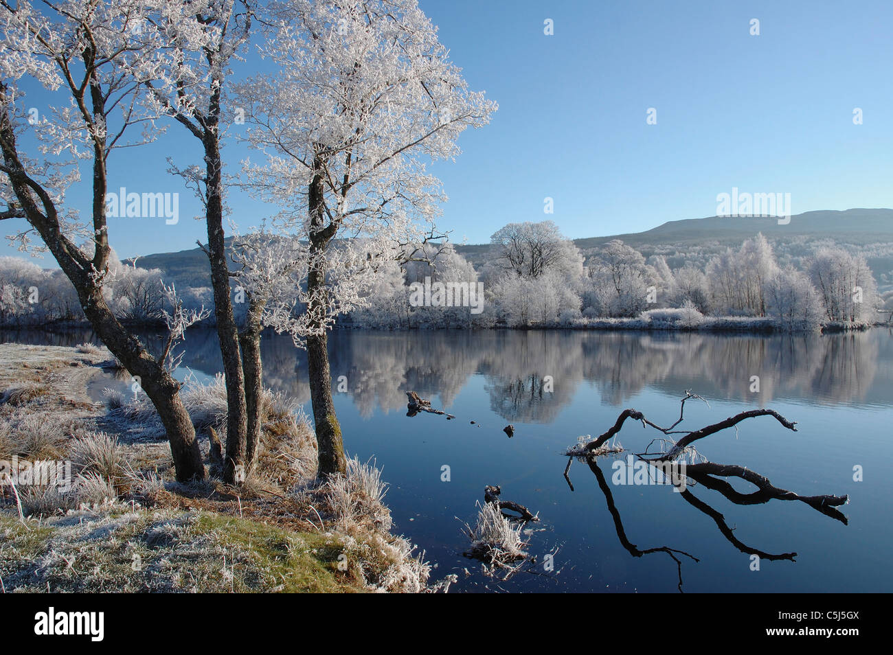Frosted trees at the junction of the River Lochay with Loch Tay, low ...