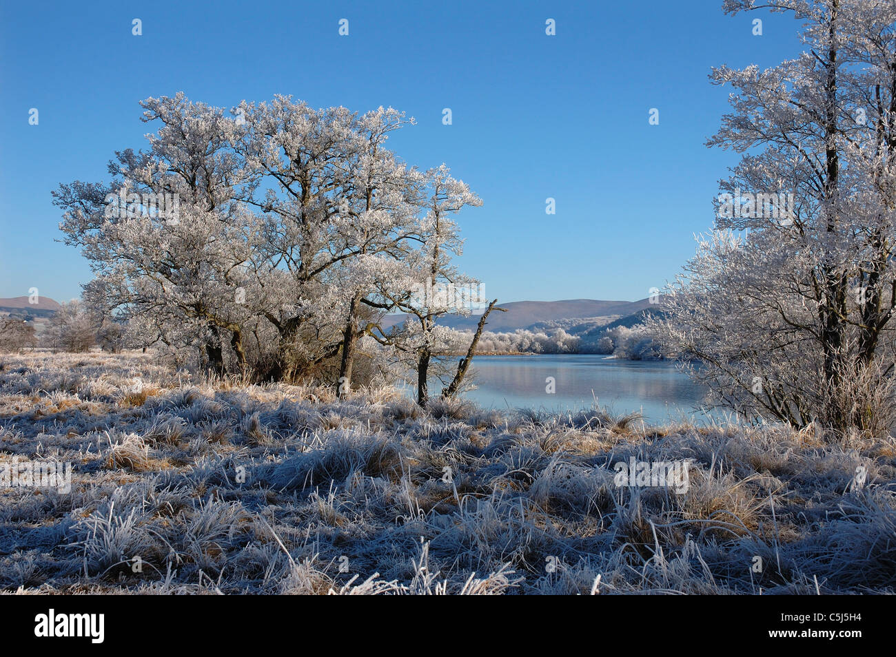 Frosted trees at the junction of the River Lochay and Loch Tay, under a ...