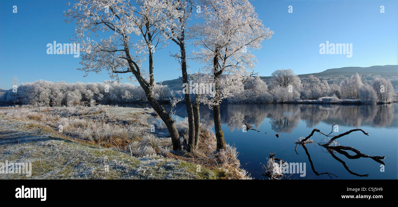 Panorama of frosted trees at the junction of the River Lochay with Loch ...