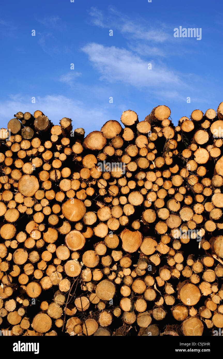 Timber transport hi-res stock photography and images - Alamy
