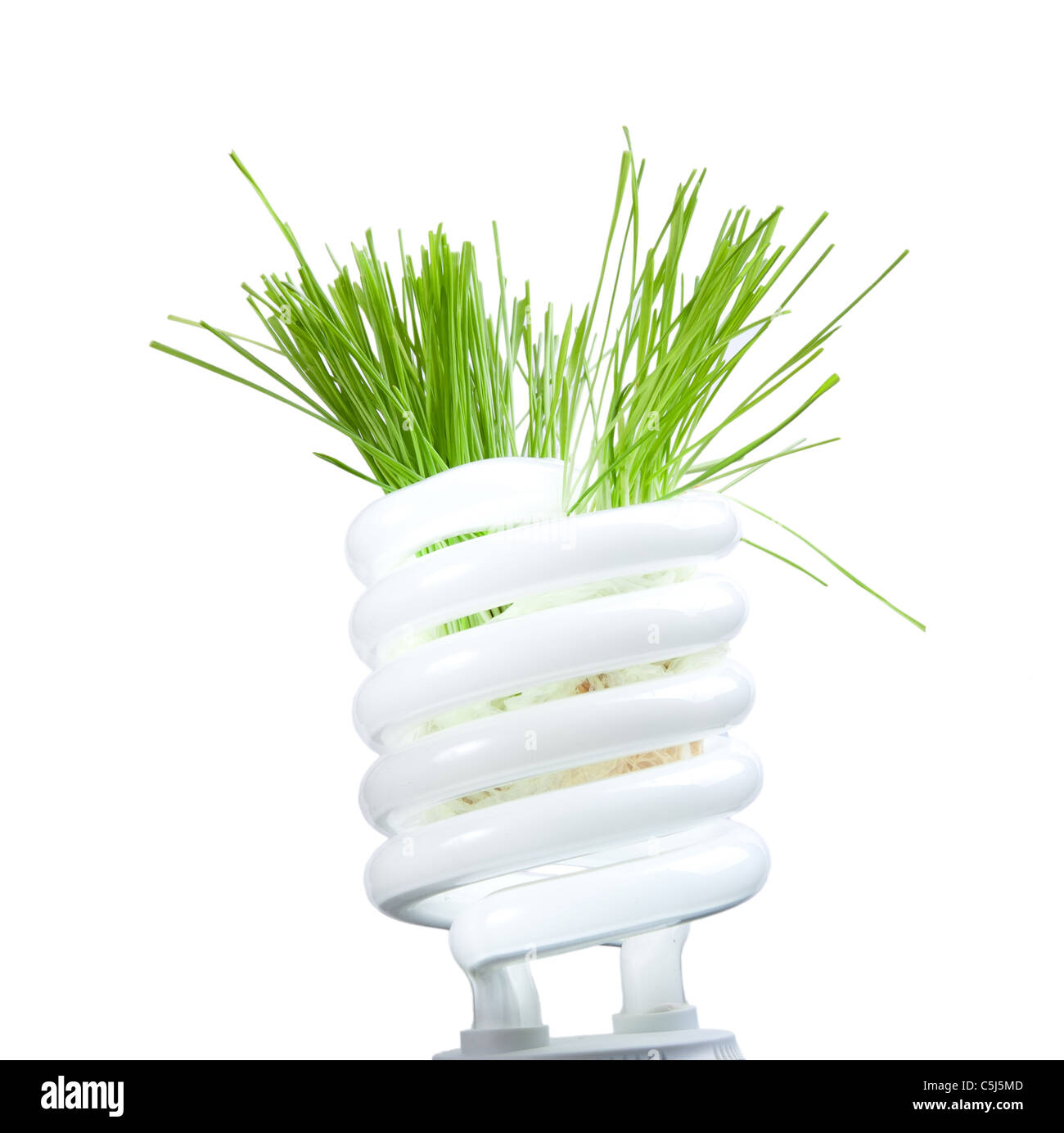 Green grass growing from lamp isolated on white background Stock Photo ...