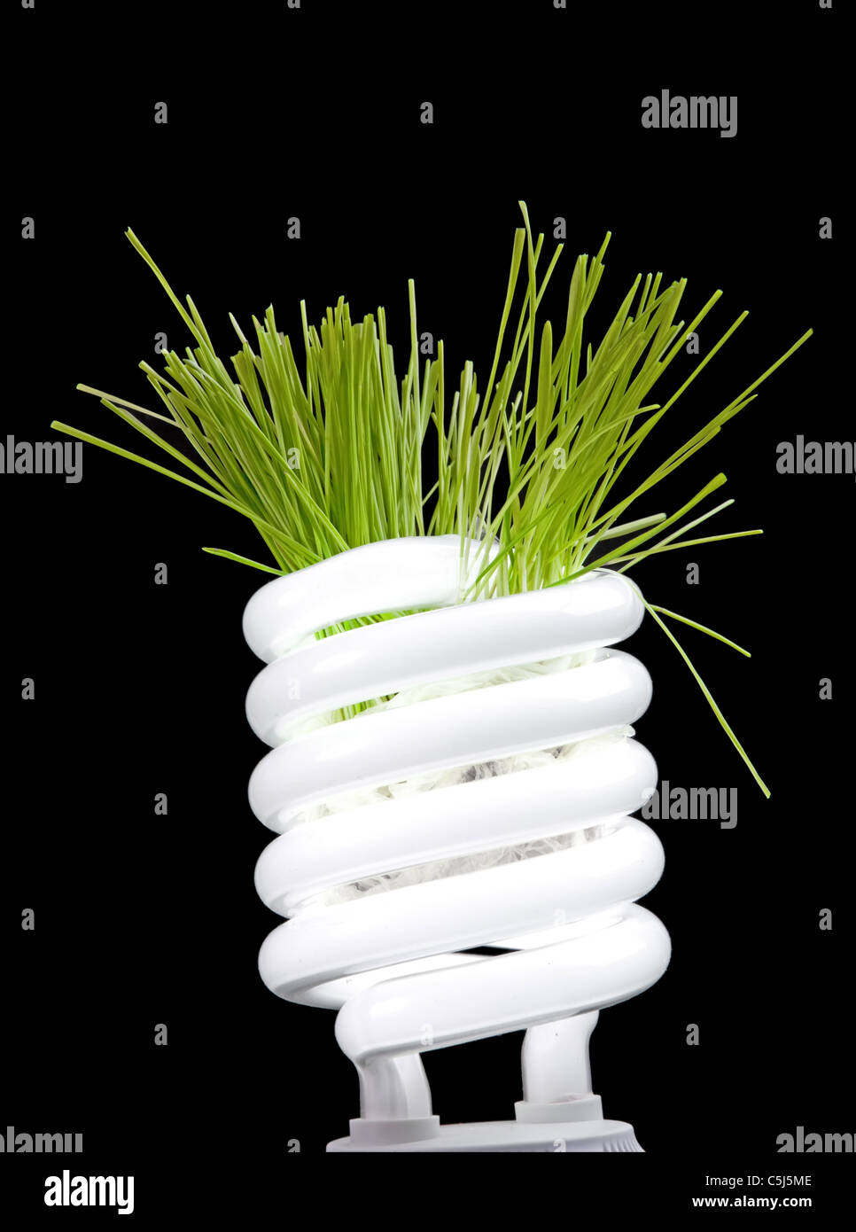 Green grass growing from lamp isolated on black background Stock Photo ...