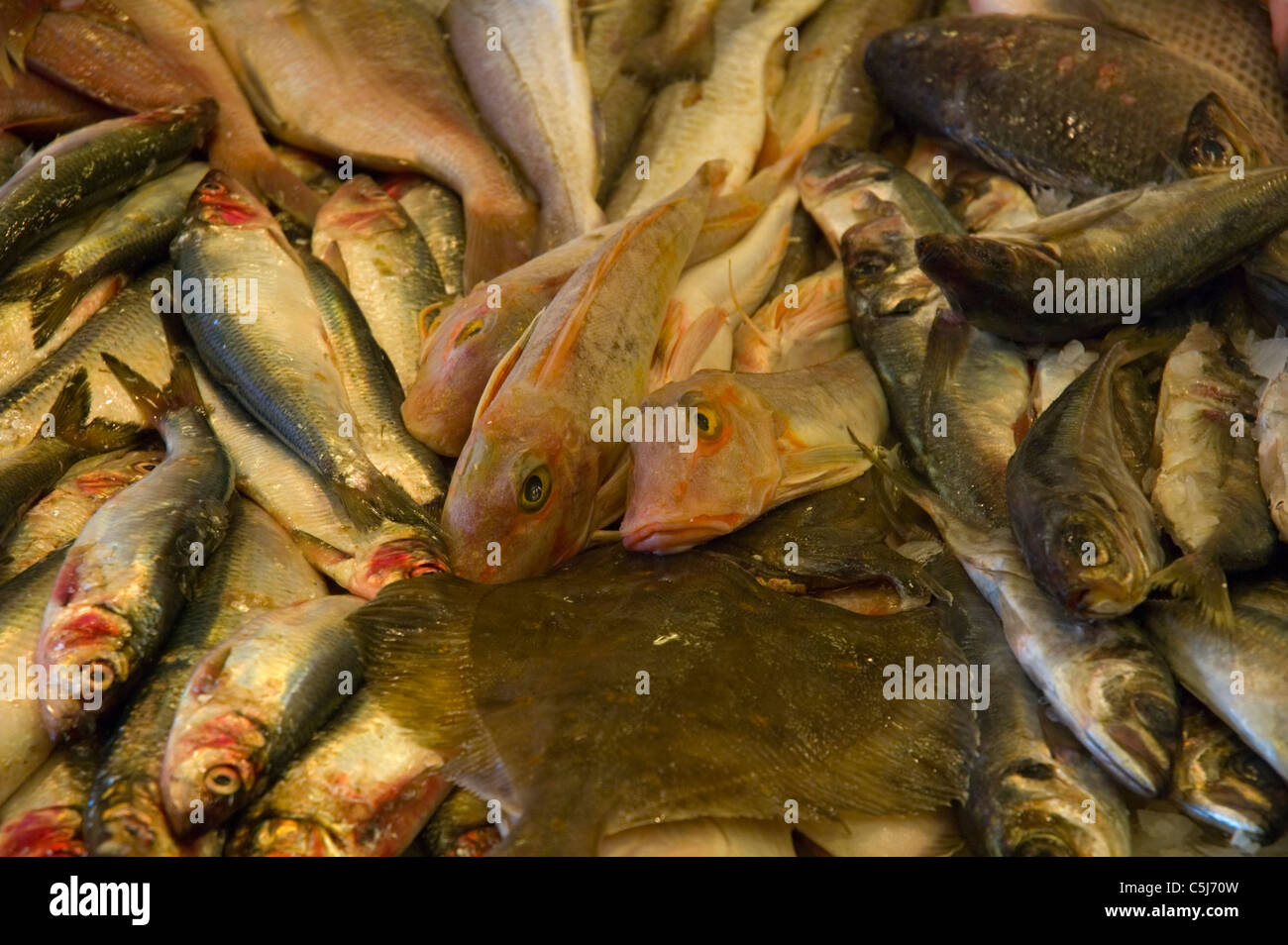 Fish at a market Upton Park east London England UK Europe Stock Photo ...